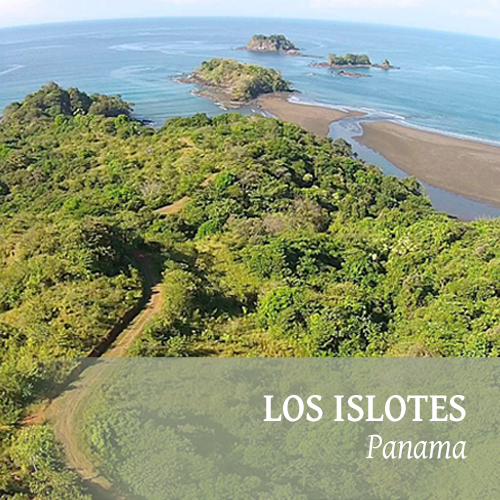 Home - ECI Development