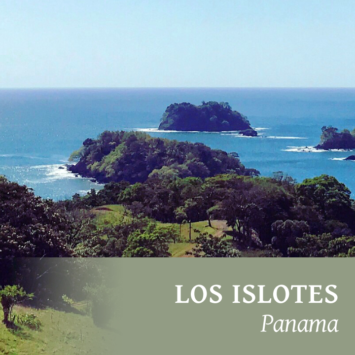 Home - ECI Development