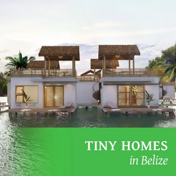 Home - ECI Development