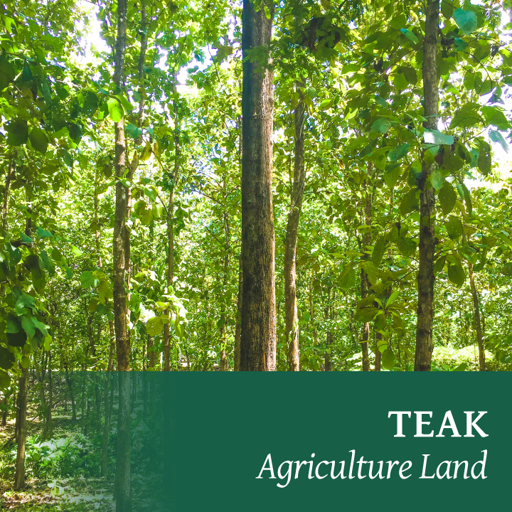 Home - ECI Development